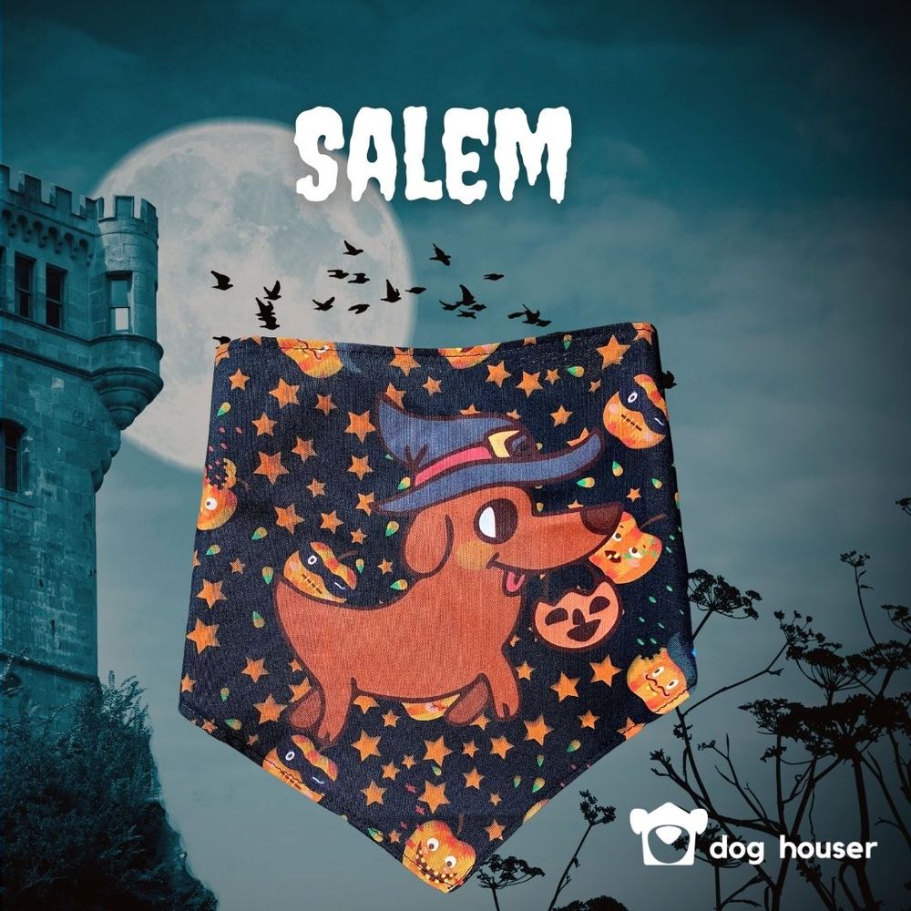 Bandana para mascota marca Boss modelo Salem de tela | Oechsle - Oechsle