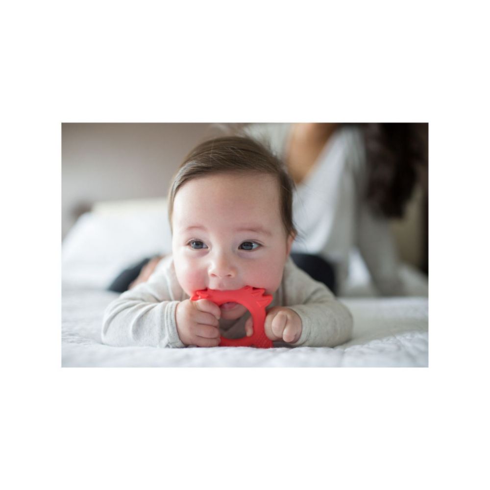 Mordedor Dr Browns Zorro Flex Rojo | Oechsle.pe - Oechsle