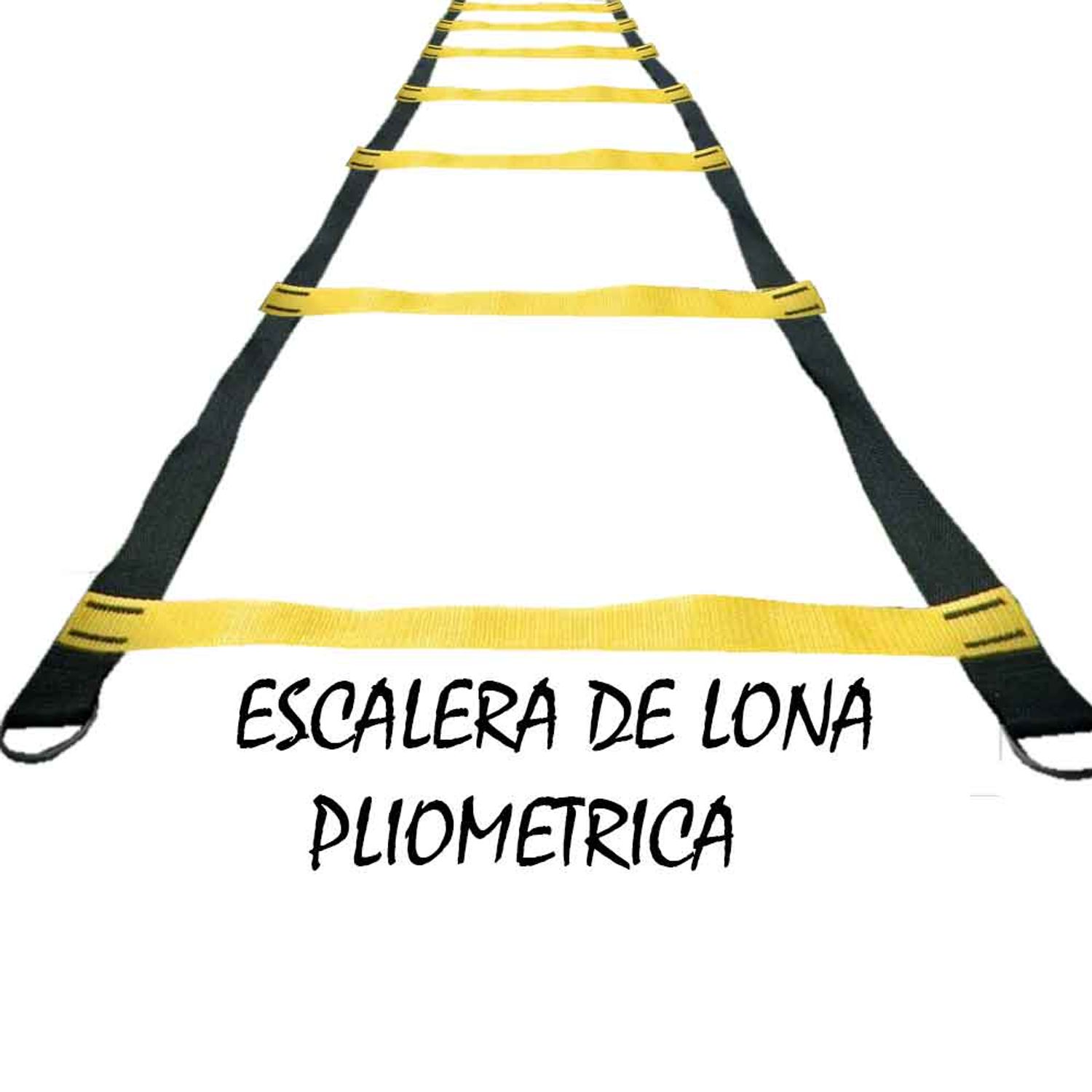 Escalera Pliométrica Dhark de 10 Pasos Colores Variados | Oechsle - Oechsle