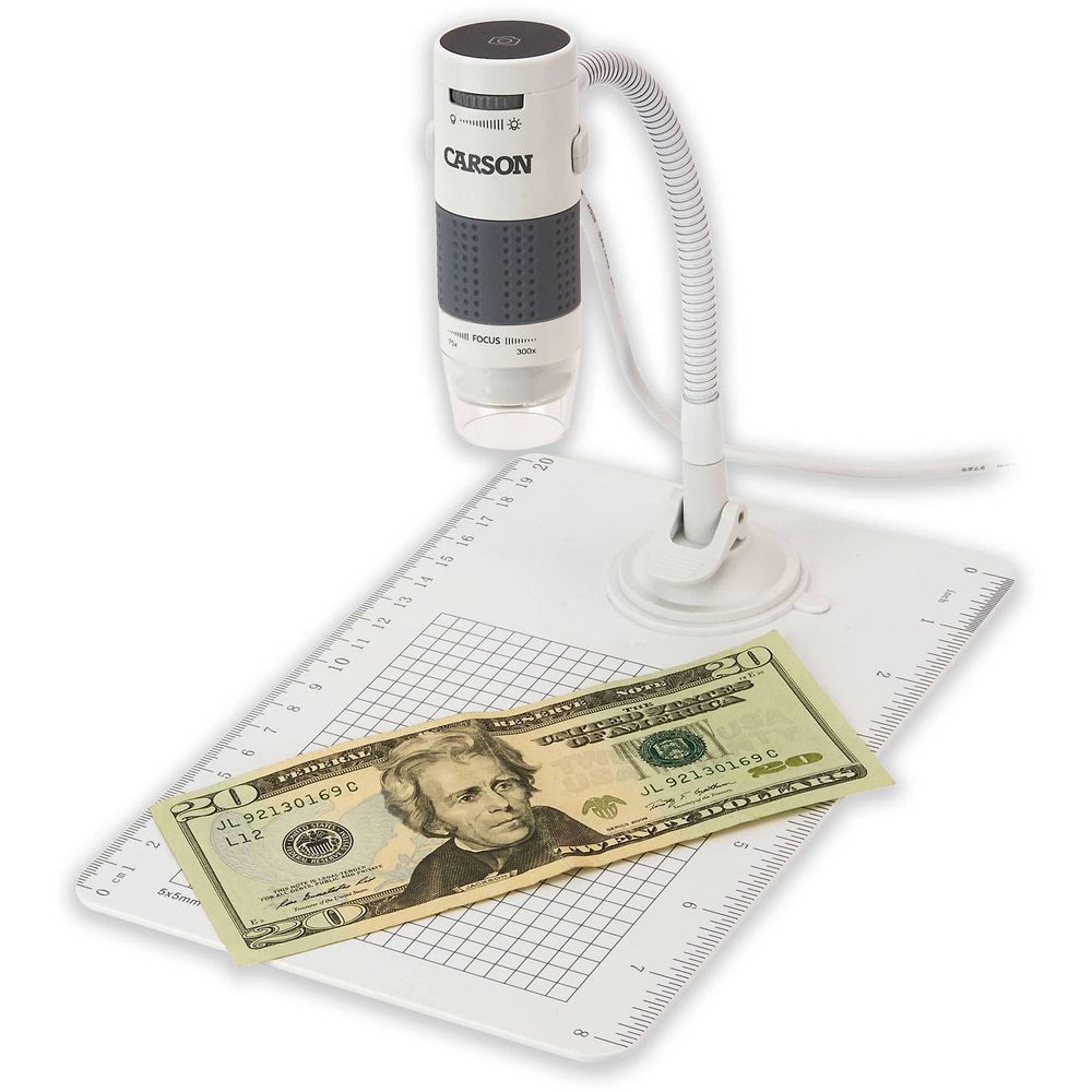 Microscopio Digital Carson Mm 840 Eflex Blanco I Oechsle - Oechsle