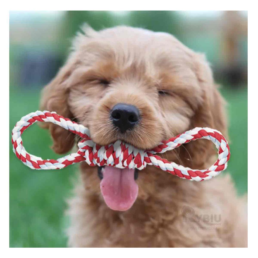 Soga para Perros Cuerda de 4 Nudos Rojo I Oechsle - Oechsle