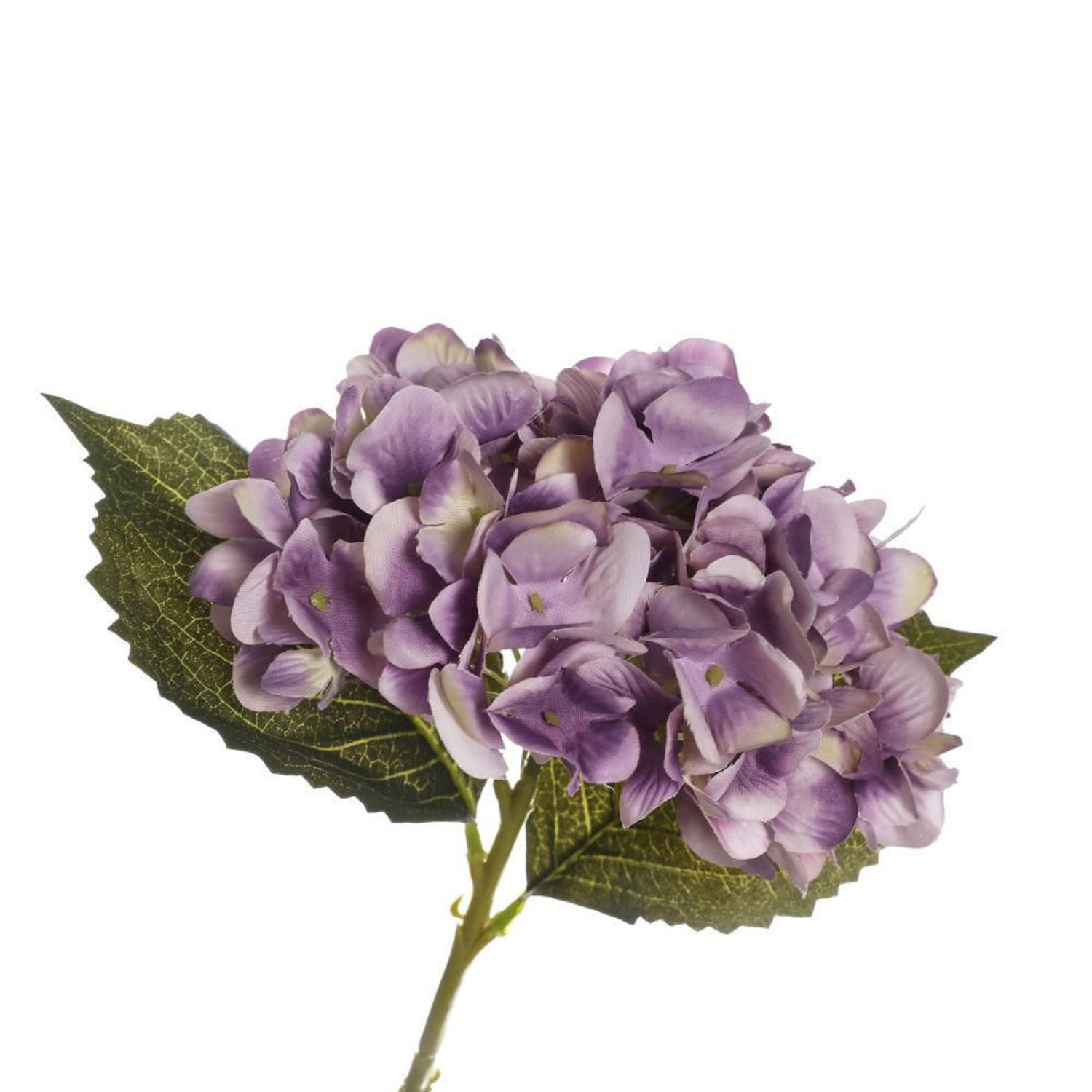 Flor Morada 46 cm | Oechsle - Oechsle