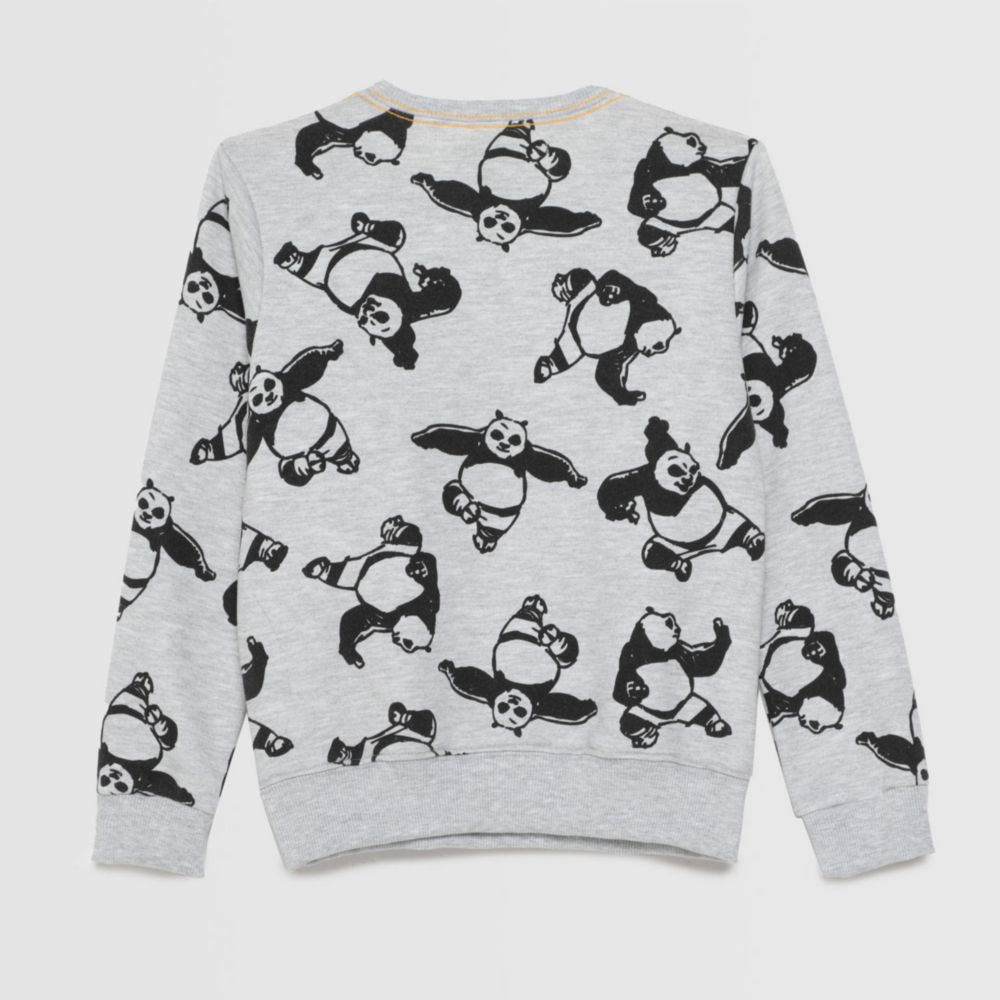 Polera Para Niño Kung Fu Panda Aop | Oechsle.pe - Oechsle