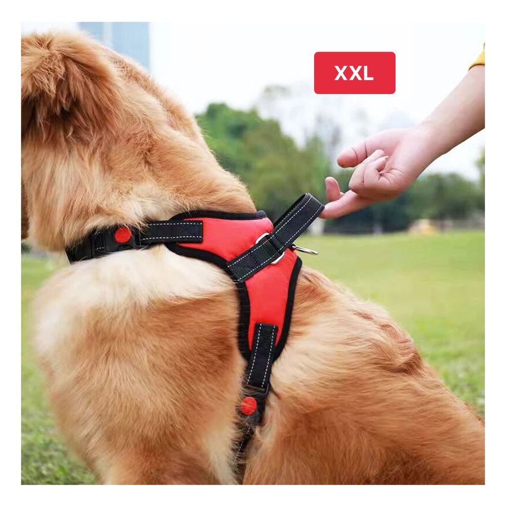 Pechera para Perro Service en Rojo XXL - Oechsle