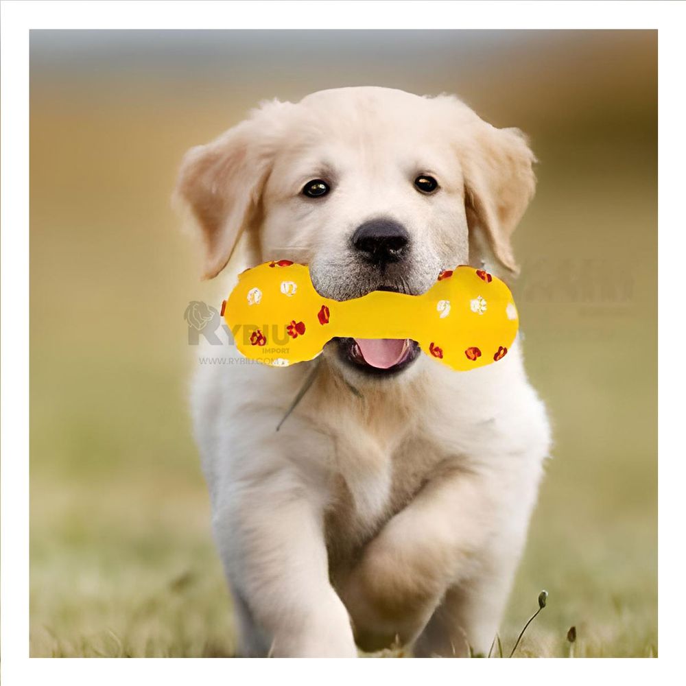 Hueso Clasico de Color Amarillo Y+Papel de Regalo - Oechsle