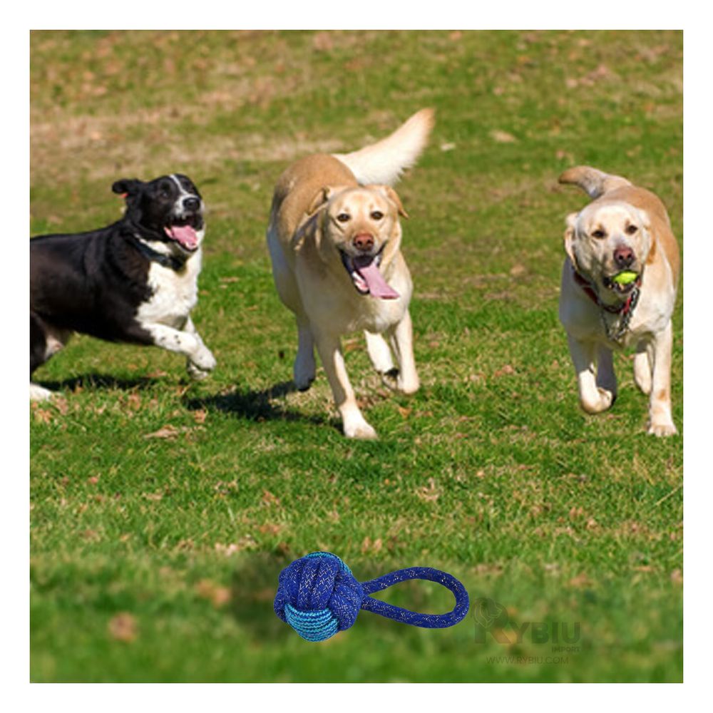 Soga no Toxico en Tono Azul Y+Regalo Stickers - Oechsle