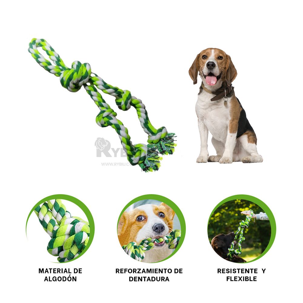 Soga de Entretenimiento Mascota en Verde Y+Papel de Regalo - Oechsle