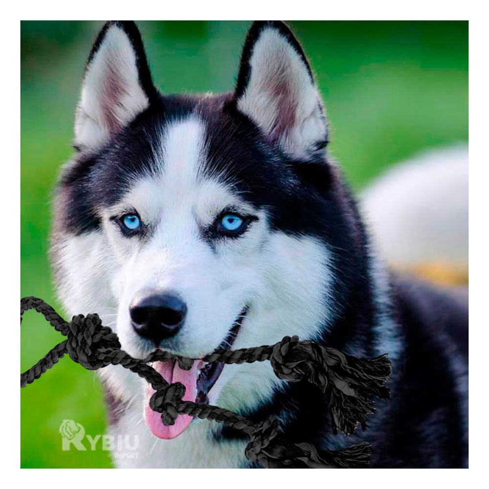 Soga Suave para Juegos en el Parque Negro Y+Papel de Regalo - Oechsle