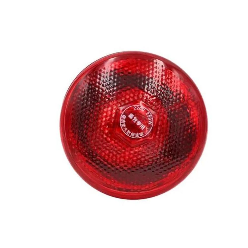 Foco Infrarrojo Calefacción Para Cerdos Perros Pollos 100w Pack X12 ...