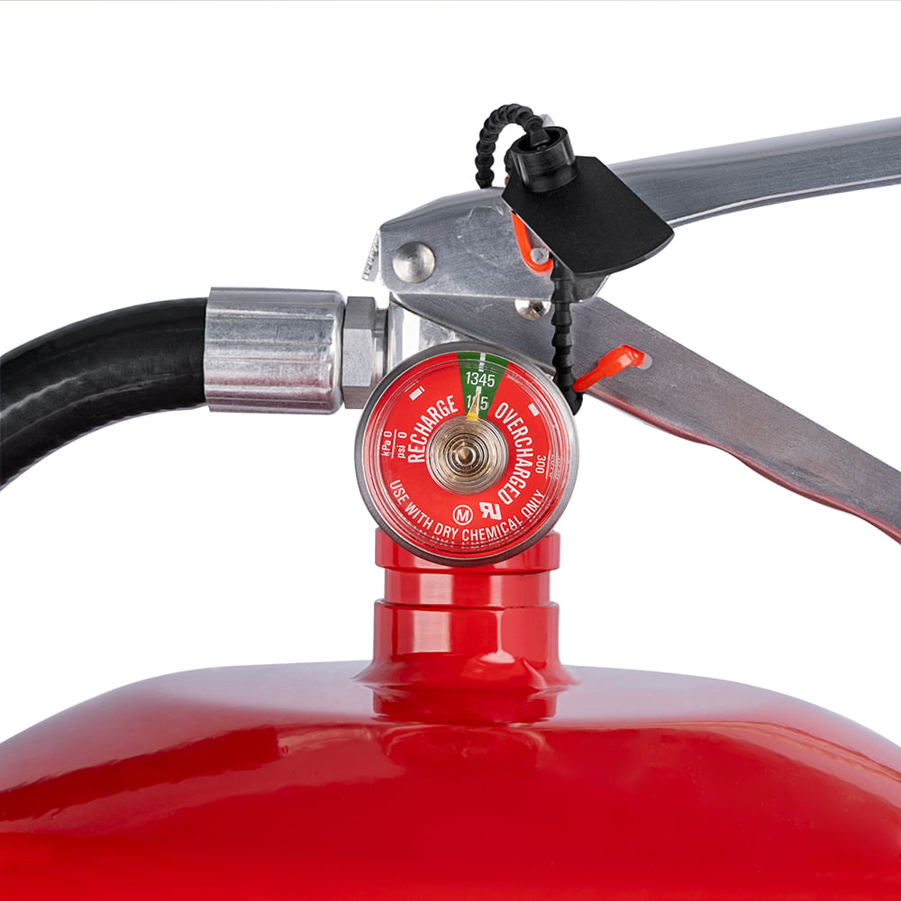 Extintor de Gas Carbónico CO2 BUCKEYE de 20 LB Certificado - Oechsle