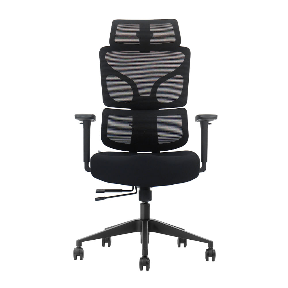 Silla de Oficina Ergonómica Profesional Evox GT5-BH - Oechsle