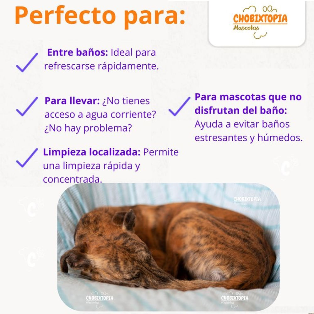 ESPUMA SHAMPOO FRUPPY HIPOALERGENICO PERROS x 300 mL - Oechsle