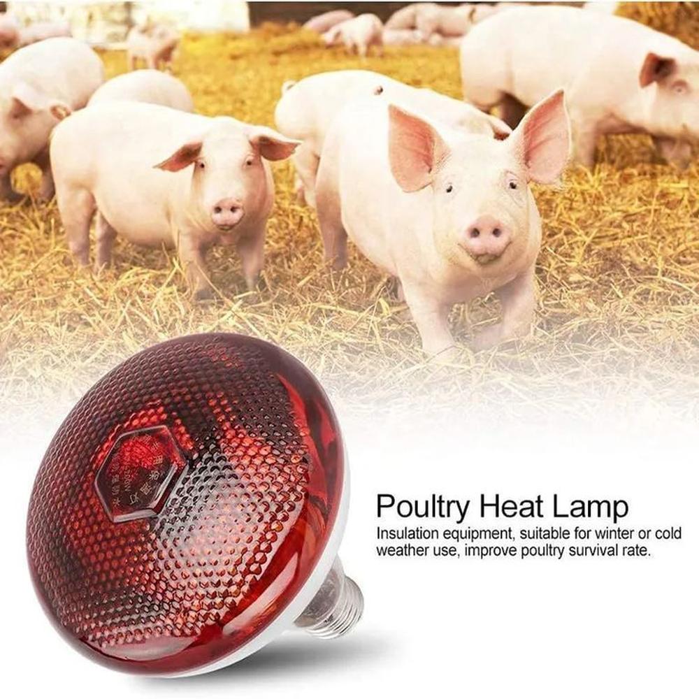 Foco Infrarrojo Calefacción Para Cerdos Perros Pollos 275w - Oechsle